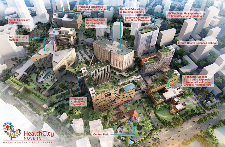 Singapore 2019 public healthcare cluster